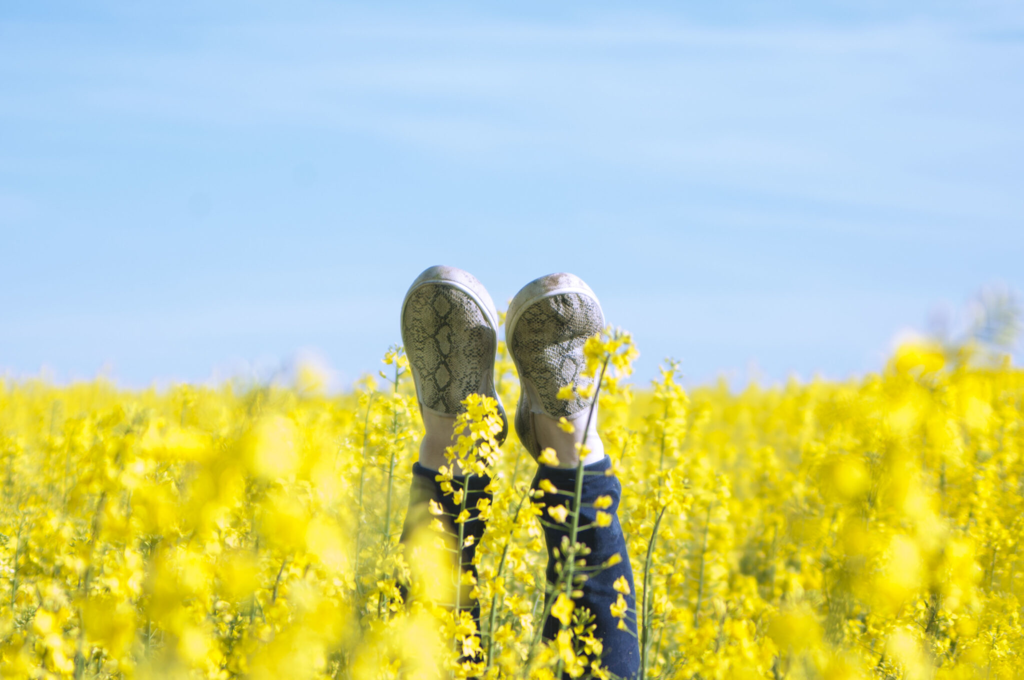 Kick up your feet and rest | Shabbat Date